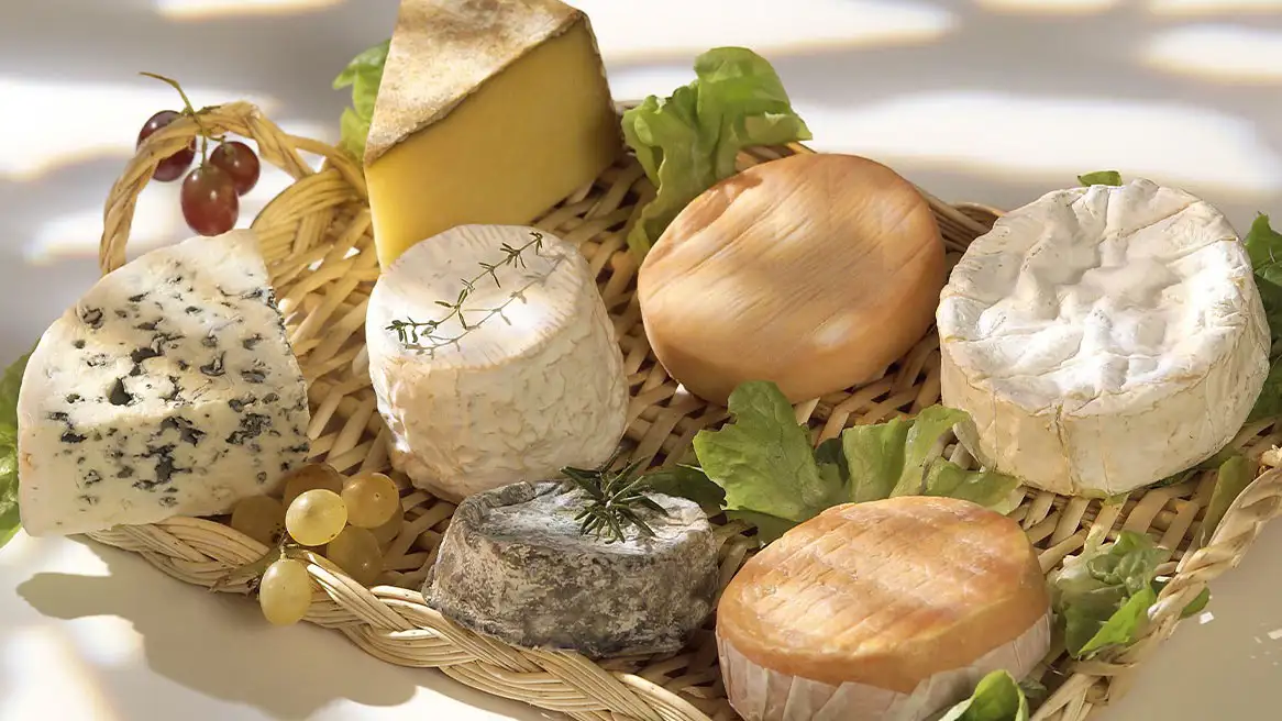 Carrefour Cité Europe - Eurotunnel LeShuttle™