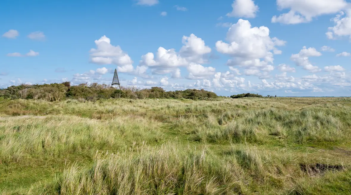 Frisian Islands: Visit The Wadden Islands - Eurotunnel LeShuttle™