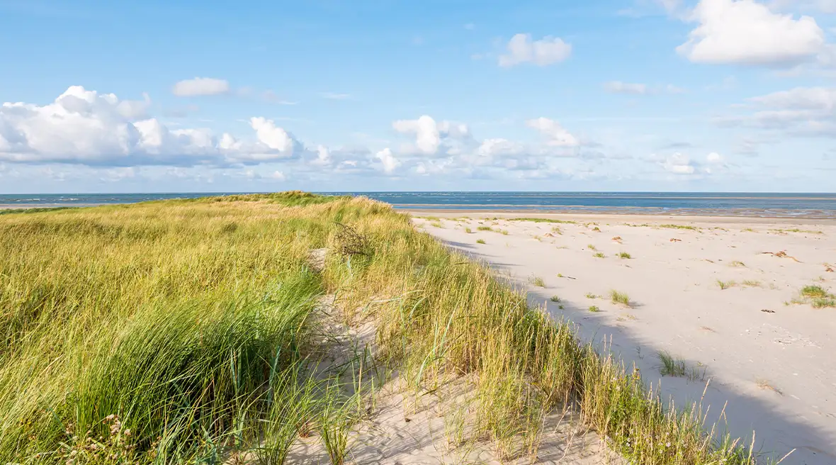 Frisian Islands: Visit The Wadden Islands - Eurotunnel LeShuttle™